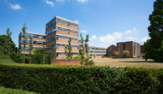 Important and legal information | University of Reading